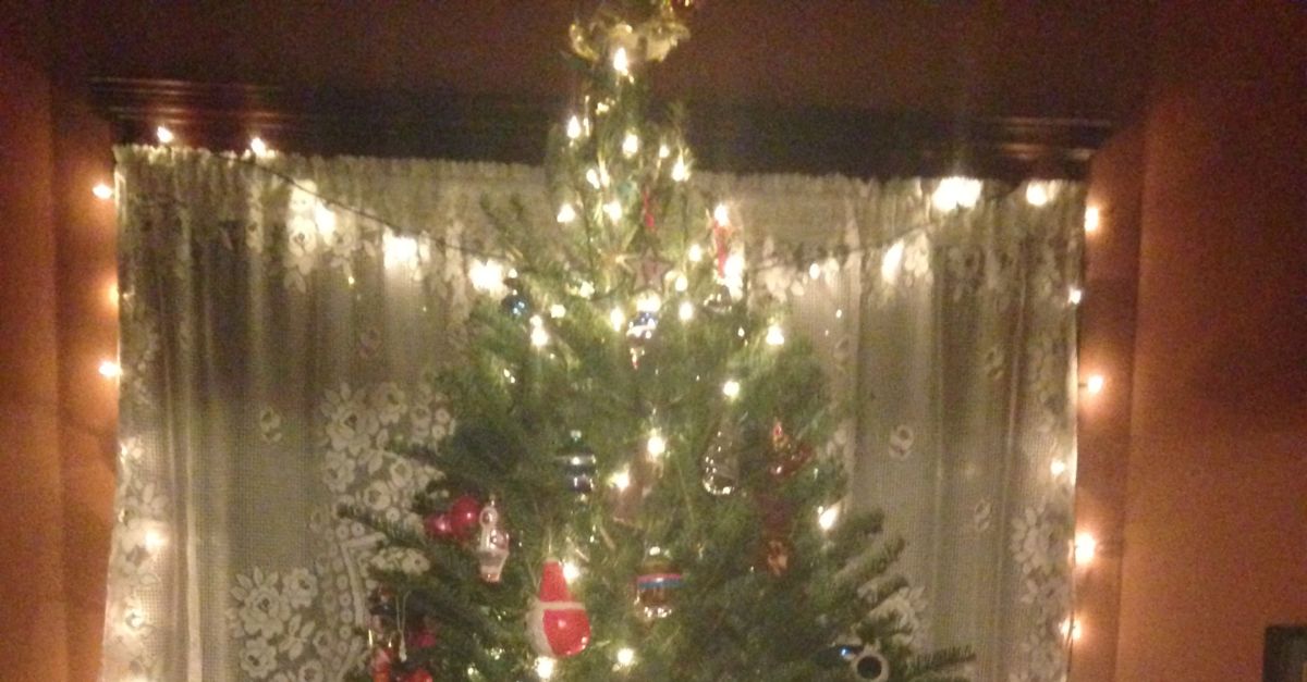 Sharing Grok Nation holiday traditions in December's Editor's Note